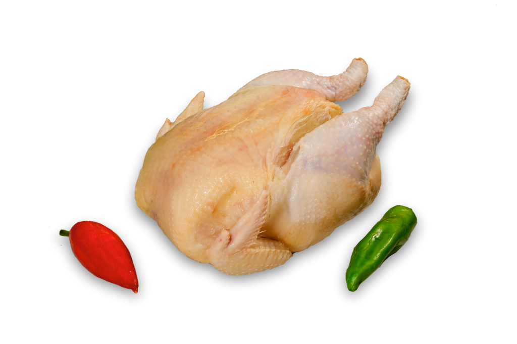 Gallina entera - Halema